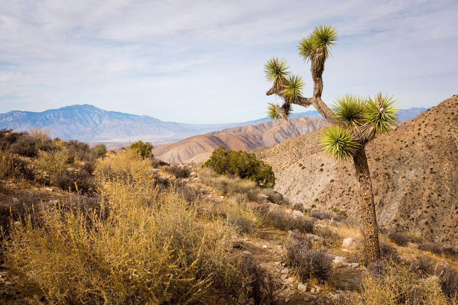 So machst du perfekte Fotos – in der Wüste