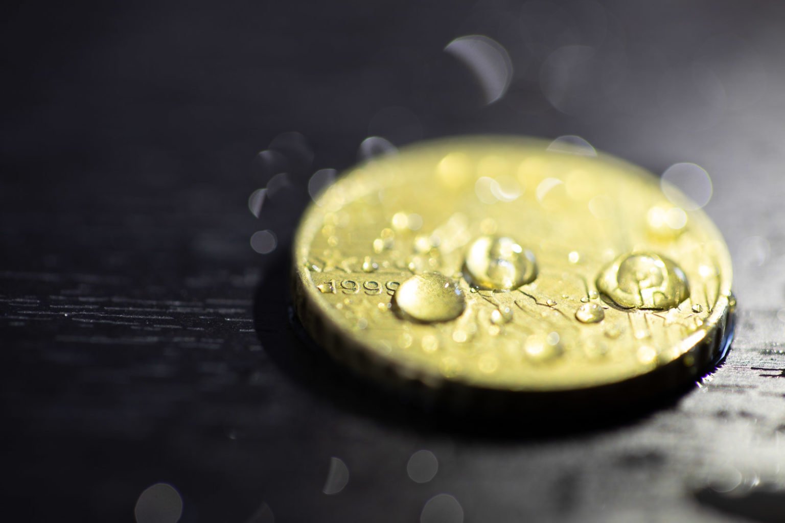 Makrofotografie - Ausrüstung, Tipps und Ideen — Lichter der Welt