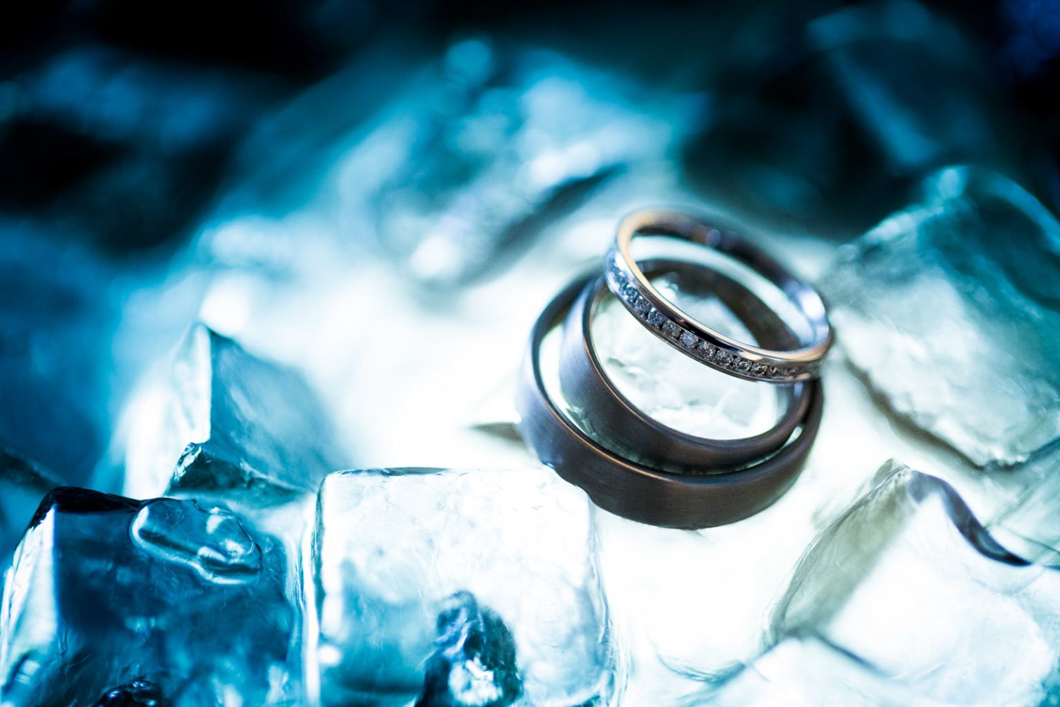 Makrofotografie - Ausrüstung, Tipps und Ideen — Lichter der Welt