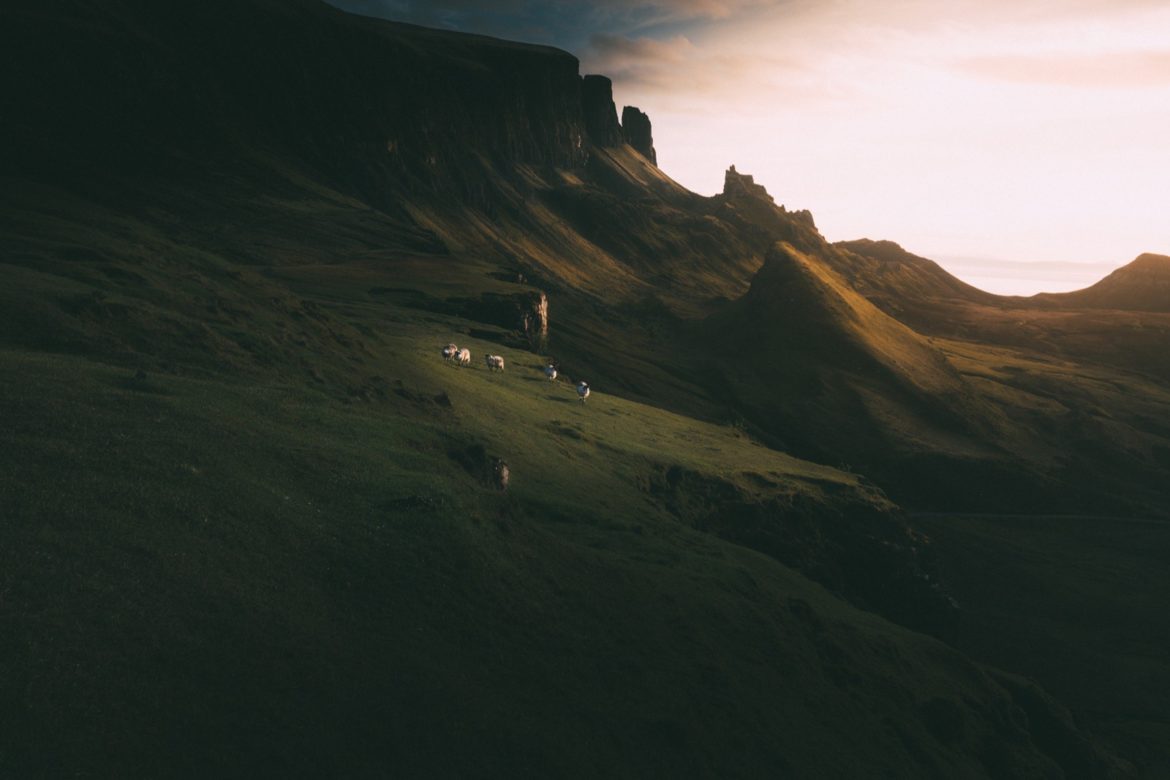 Licht in der Fotografie: Sieh es und nutze es! — Lichter der Welt