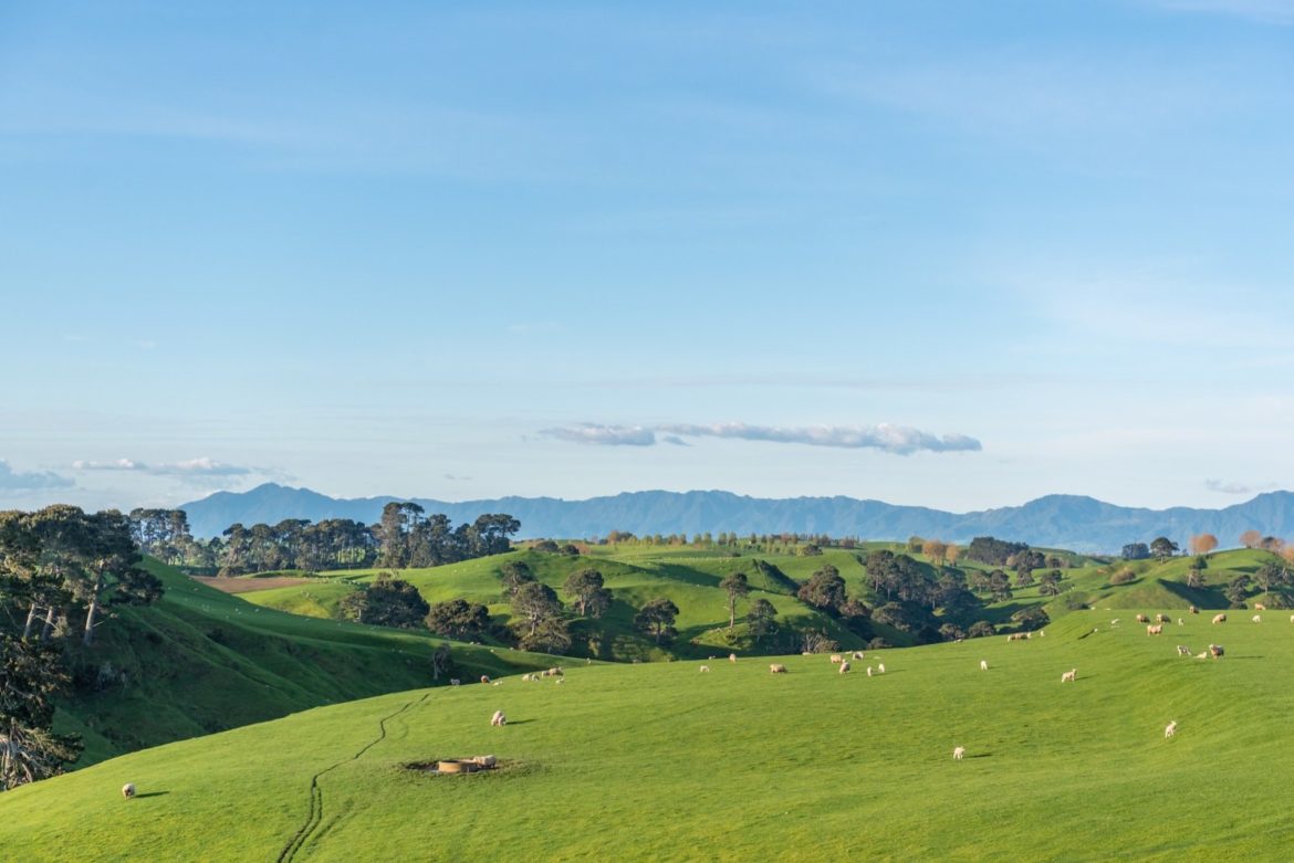 Neuseeland-Rundreise: 5000 km durch ein Traumland — Lichter der Welt