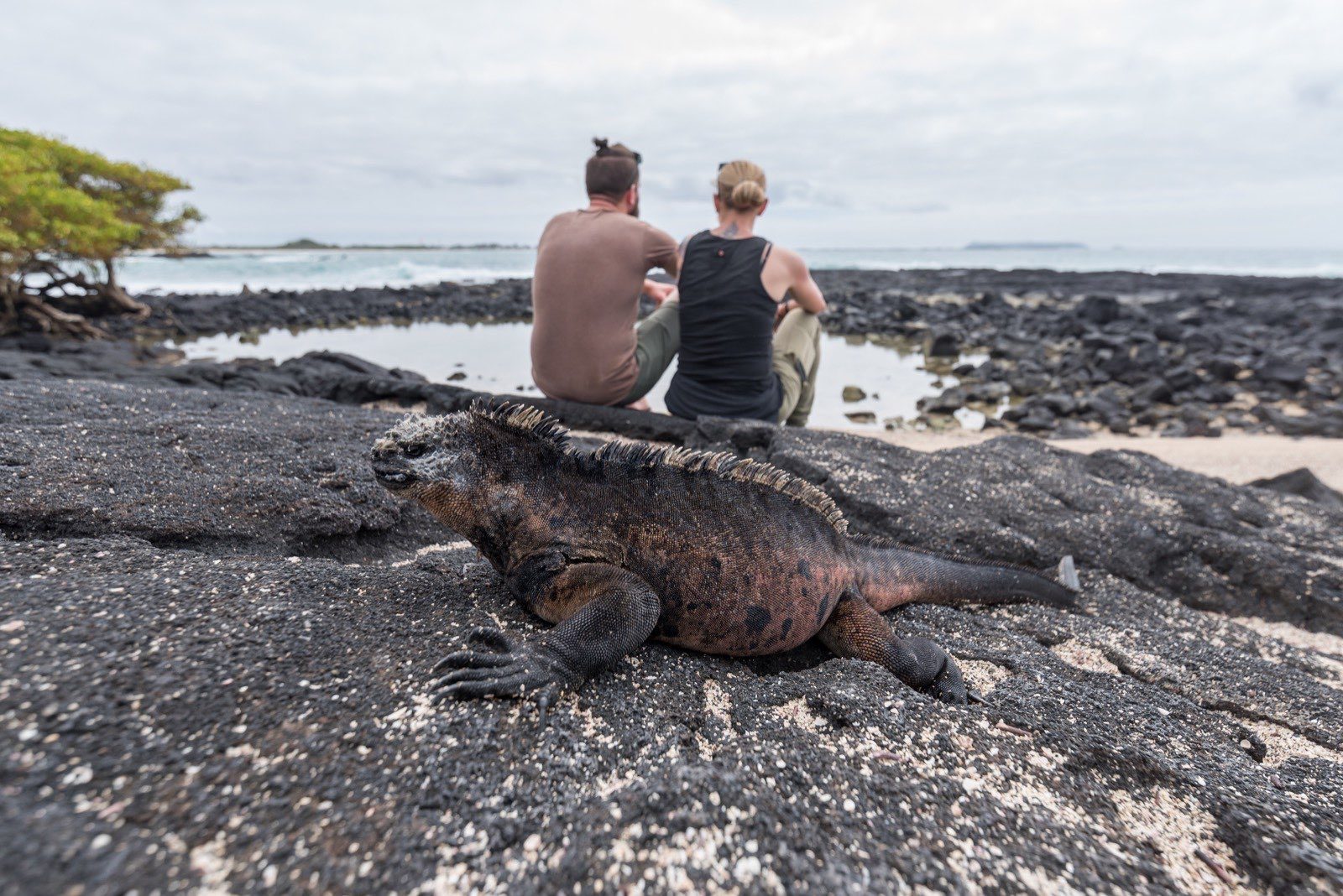 Galapagos Inseln – Eine Traumreise für Fotografen — Lichter der Welt