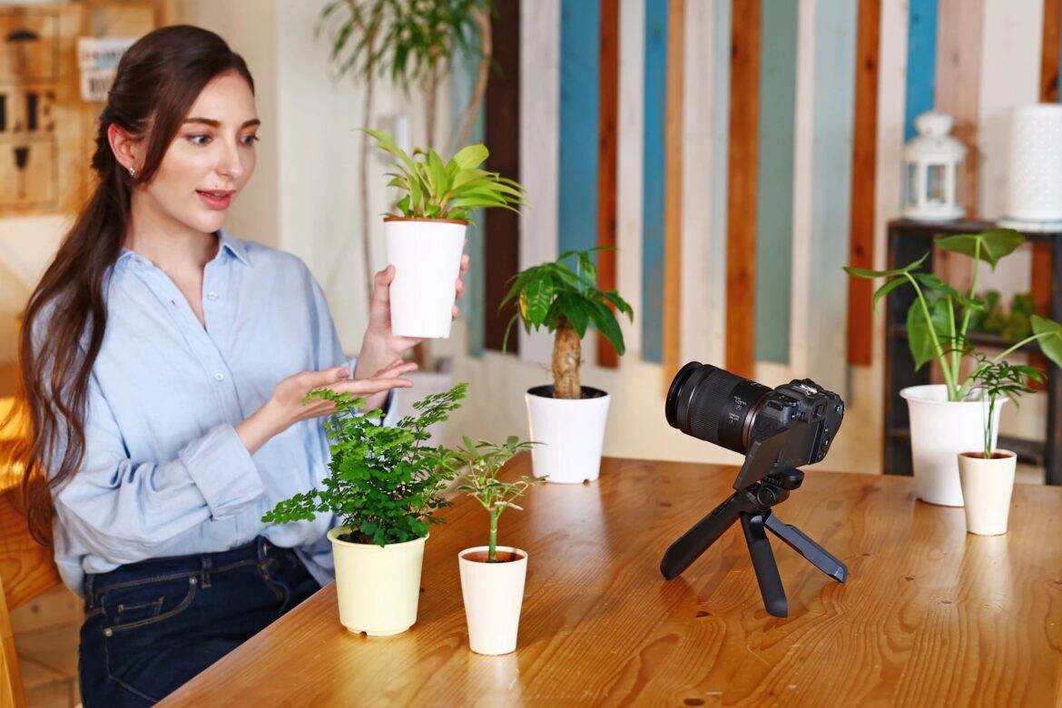 Canon RF Objektive – Unsere top Empfehlungen