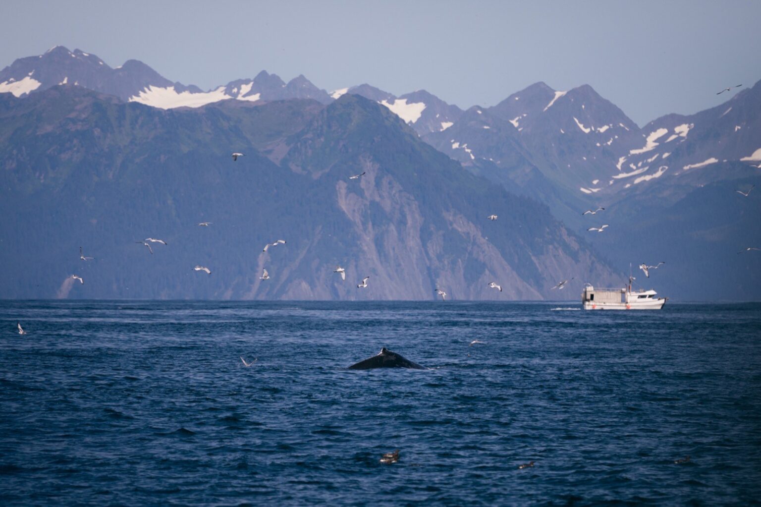 Alaska: Reise in die große Wildnis — Lichter der Welt